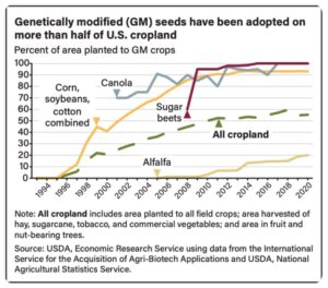 GM(Genetically Modified) Archives - Food Politics by Marion Nestle