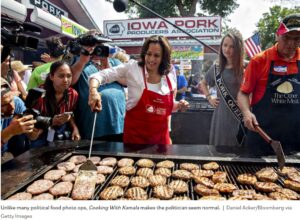 Food Politics by Marion Nestle