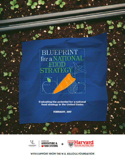 Blueprint for a National Food Strategy - Food Politics by Marion Nestle