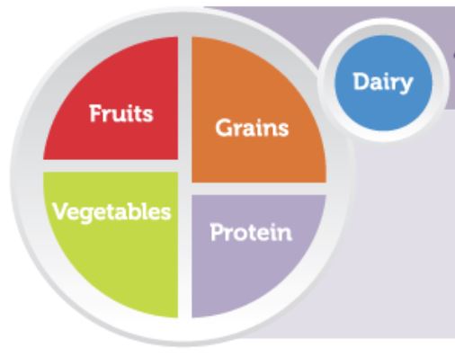Canada's new food guide: a better version of MyPlate? - Food Politics ...