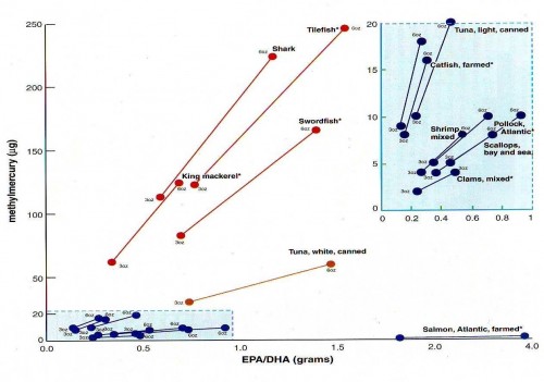 Fish politics: The FDA's updated policy on eating fish while pregnant ...
