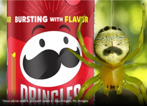 Food Politics by Marion Nestle